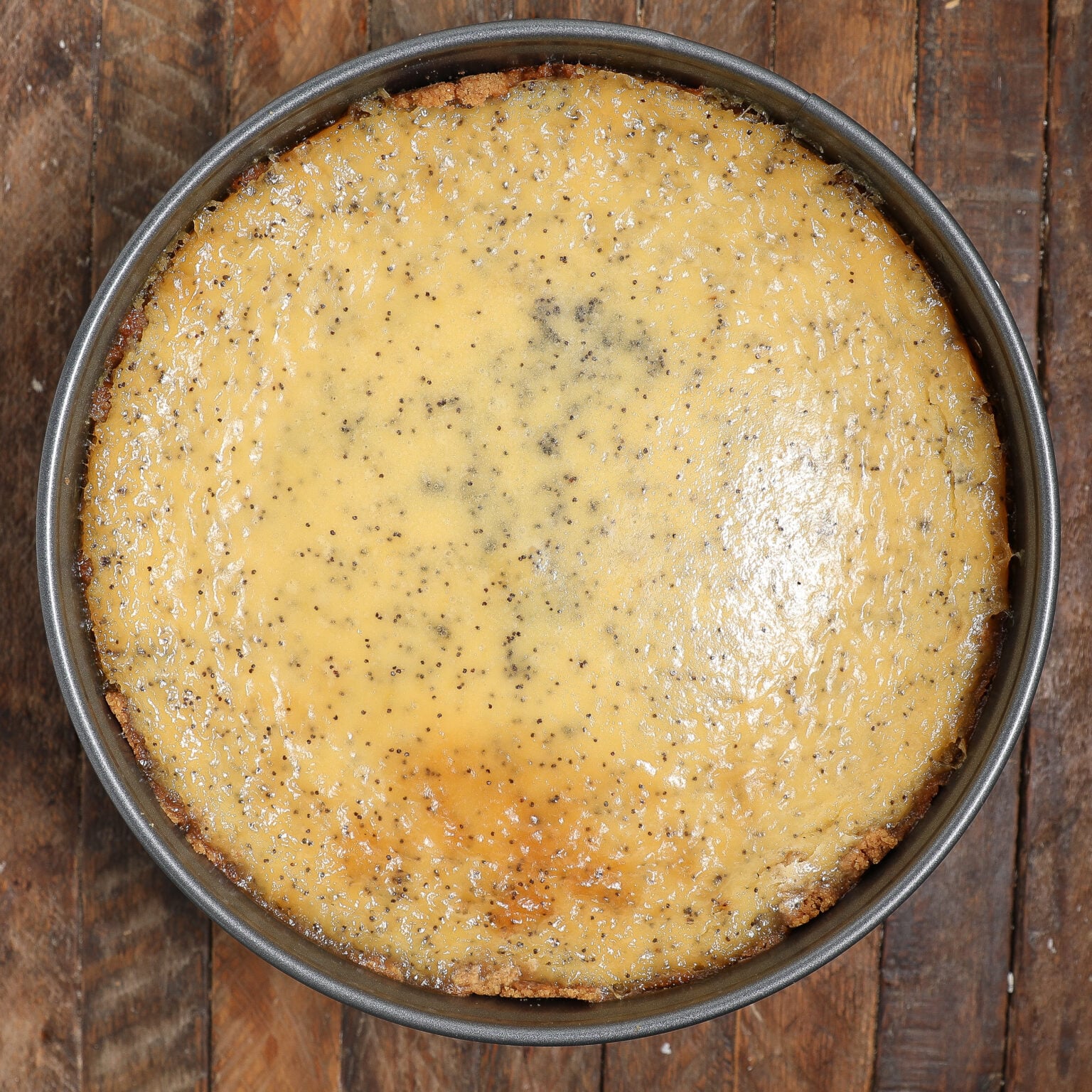 Lemon Poppyseed Cheesecake - The Salty Cooker – Flavorful, Simple ...