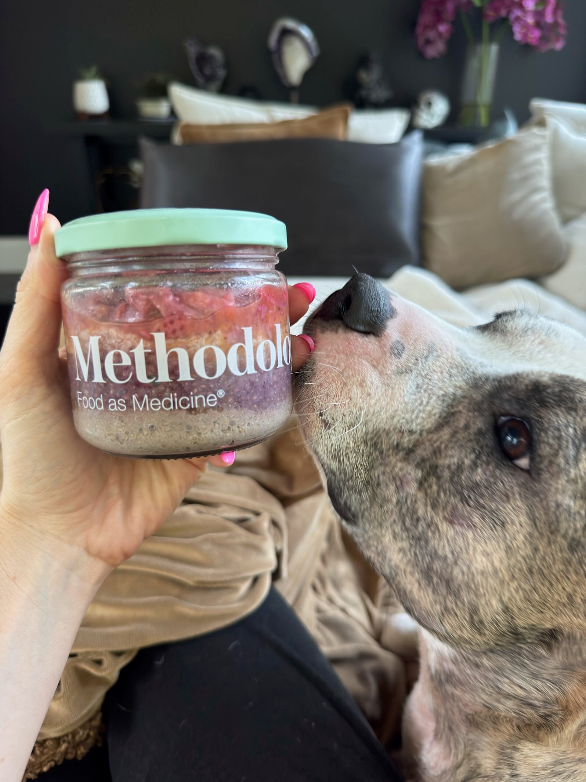 Methodology: Science-Backed Meal Delivery Worth Trying