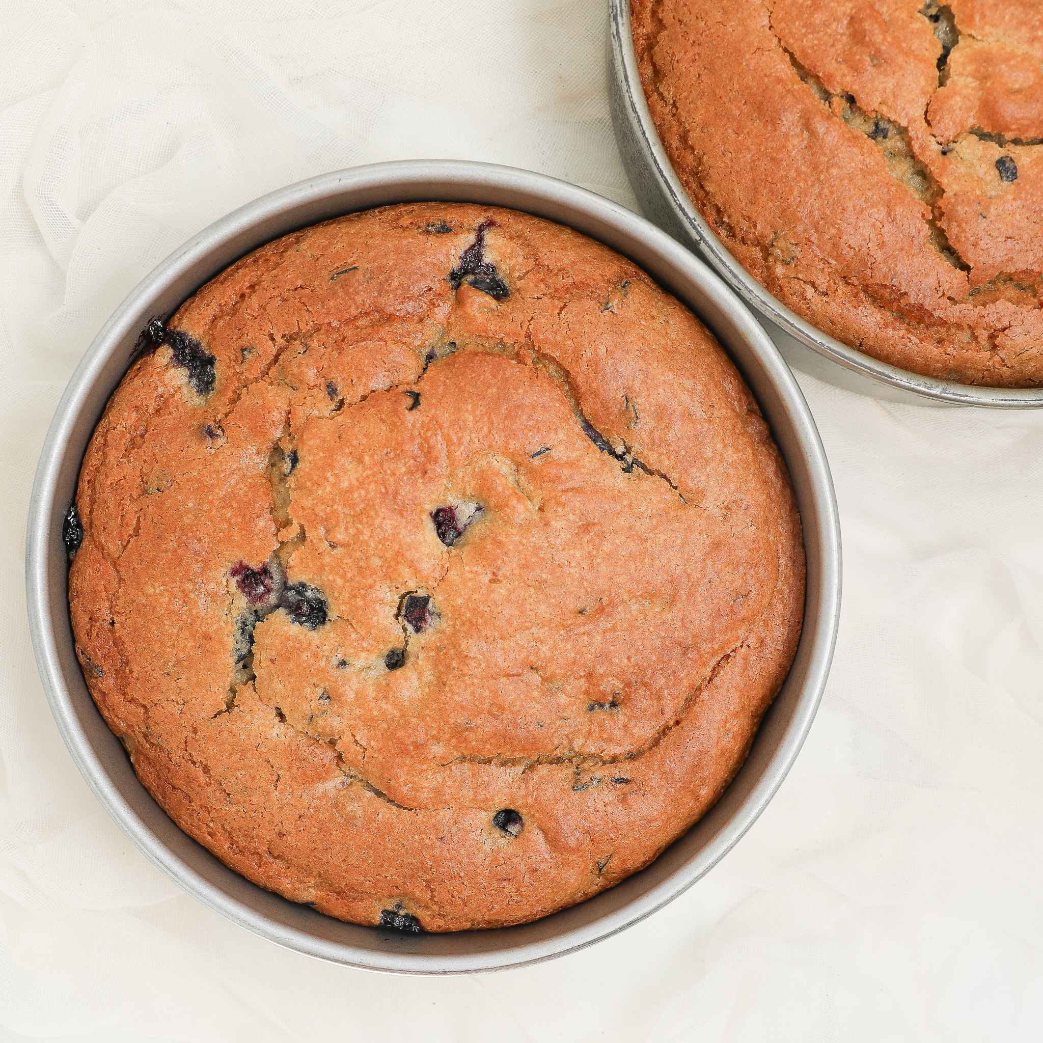 Blueberry Cake Recipe - The Salty Cooker – Flavorful, Simple Recipes ...