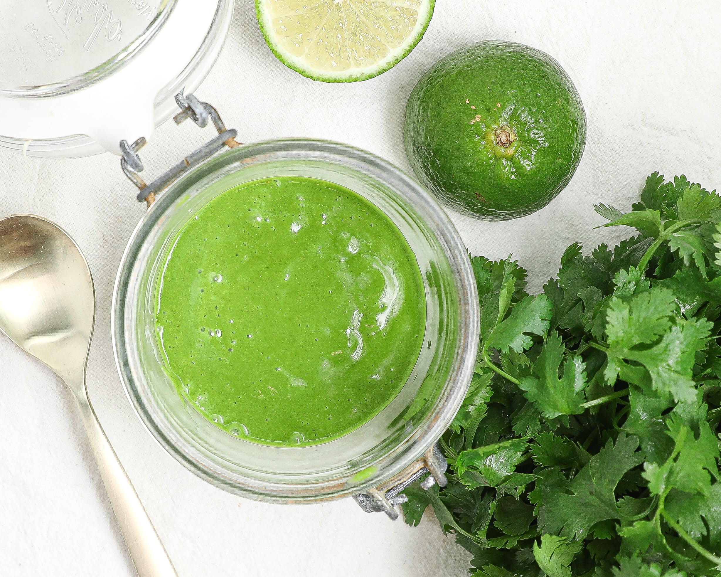 Cilantro Vinaigrette Recipe - The Salty Cooker – Flavorful, Simple ...